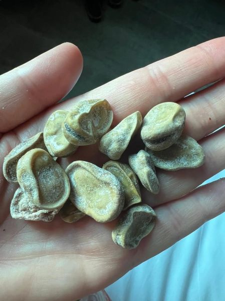 孔乙己茴香豆怎么做_正宗绍兴茴香豆做法-第2张图片-山城妙识