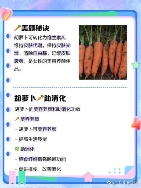 胡萝卜生吃有营养吗_生吃胡萝卜营养吸收好吗-第1张图片-山城妙识