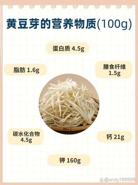 黄豆芽的营养价值及功效_黄豆芽有什么作用-第3张图片-山城妙识