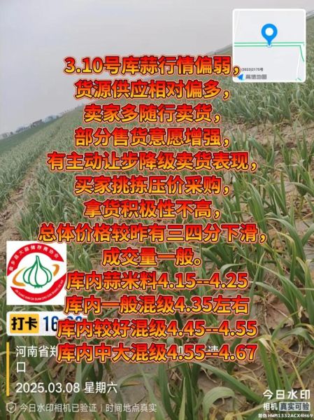 2022年大蒜多少钱一斤_大蒜价格走势预测-第3张图片-山城妙识 2022年大蒜多少钱一斤_大蒜价格走势预测-第3张图片-山城妙识