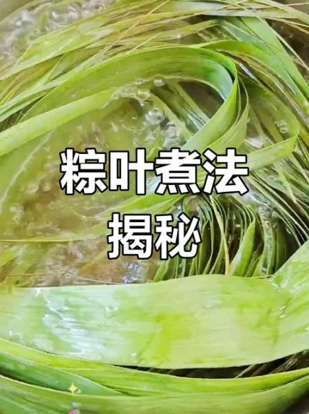 煮粽叶的方法与步骤_粽叶怎么处理不裂开-第2张图片-山城妙识