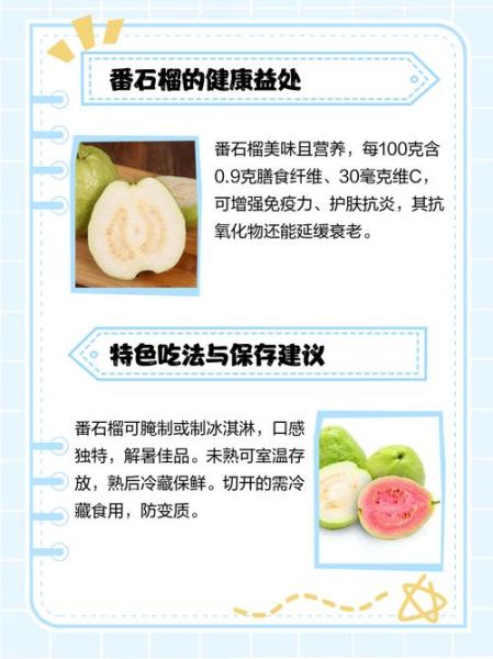 番石榴怎么吃_番石榴的营养价值-第2张图片-山城妙识