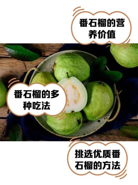 番石榴怎么吃_番石榴的营养价值-第1张图片-山城妙识