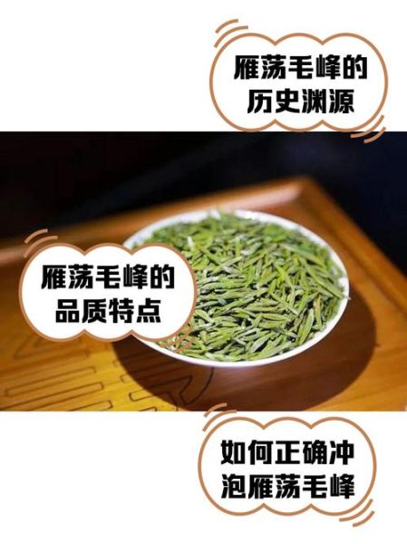 雁荡毛峰是什么茶_雁荡毛峰多少钱一斤-第2张图片-山城妙识