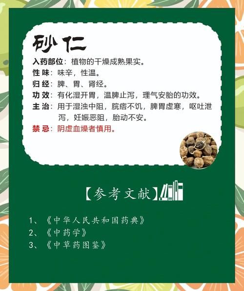 沙仁是什么_沙仁的功效与作用-第2张图片-山城妙识 沙仁是什么_沙仁的功效与作用-第2张图片-山城妙识