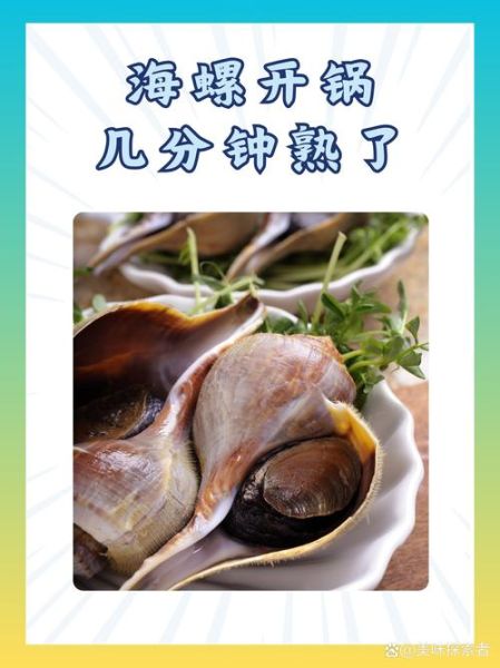 海螺蒸多久才熟_海螺蒸几分钟口感最佳-第3张图片-山城妙识