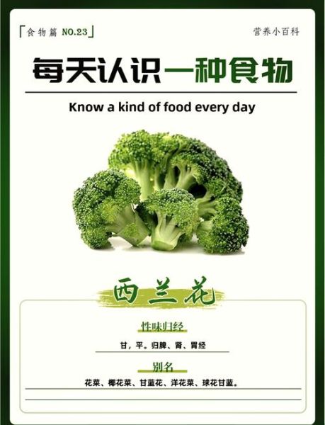 西兰花的功效与作用禁忌_西兰花怎么吃最有营养-第3张图片-山城妙识