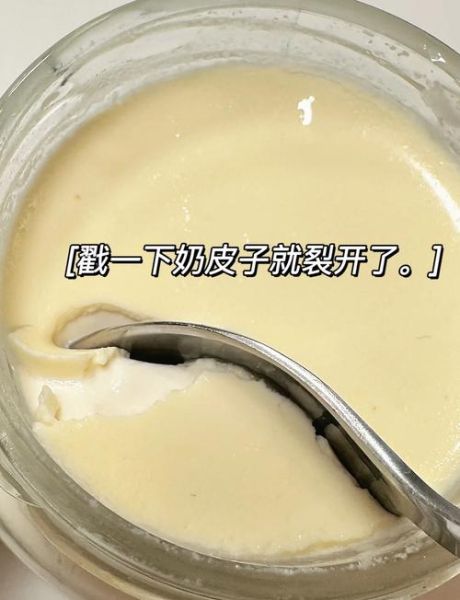 奶皮子怎么做_奶皮子家常做法-第1张图片-山城妙识