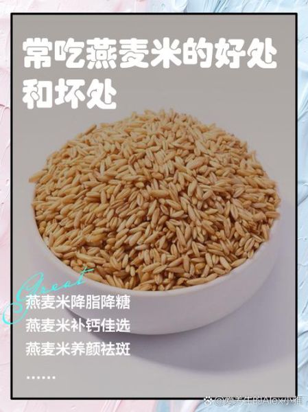 长期吃燕麦有什么危害_长期吃燕麦的副作用-第2张图片-山城妙识