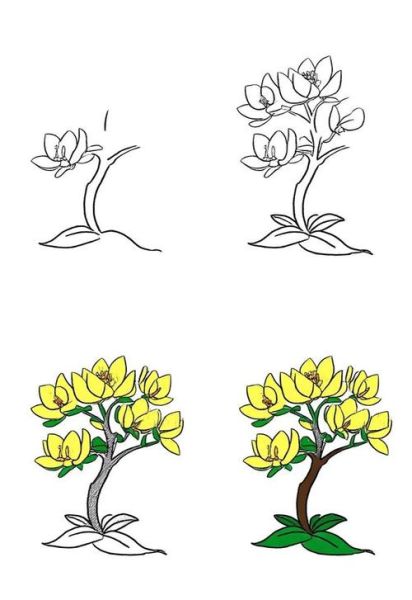 桂花树简笔画怎么画_桂花树简笔画步骤-第2张图片-山城妙识 桂花树简笔画怎么画_桂花树简笔画步骤-第2张图片-山城妙识