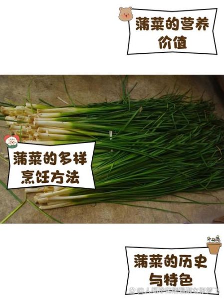 淮安家常蒲菜怎么做_蒲菜要焯水吗-第3张图片-山城妙识
