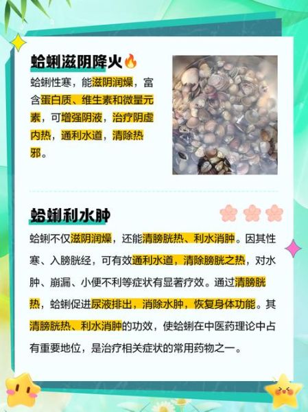 蛤蜊的营养价值_蛤蜊的功效与作用-第1张图片-山城妙识 蛤蜊的营养价值_蛤蜊的功效与作用-第1张图片-山城妙识