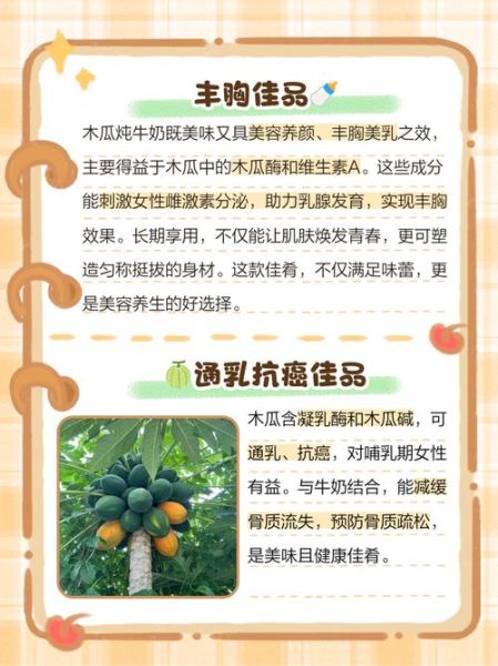 红枣木瓜炖牛奶的功效_适合什么人喝-第1张图片-山城妙识