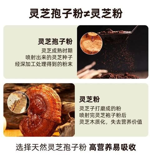 灵芝孢子粉多少钱一斤_正宗破壁灵芝孢子粉价格表-第2张图片-山城妙识 灵芝孢子粉多少钱一斤_正宗破壁灵芝孢子粉价格表-第2张图片-山城妙识