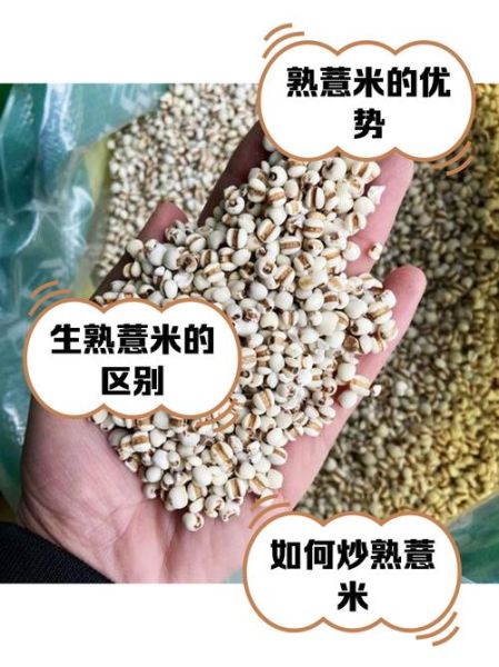 薏米怎么煮_薏米煮多久才熟-第2张图片-山城妙识 薏米怎么煮_薏米煮多久才熟-第2张图片-山城妙识