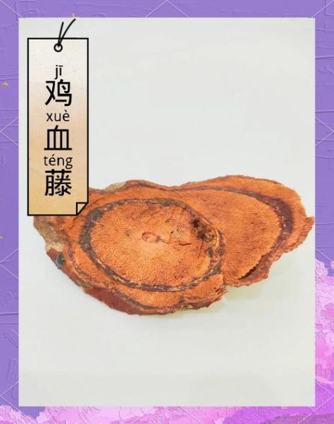 鸡血藤的功效与作用_鸡血藤主治哪些病-第2张图片-山城妙识