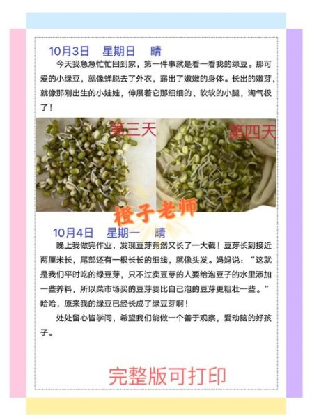 生豆芽怎么发最快_家庭无土生豆芽步骤-第3张图片-山城妙识 生豆芽怎么发最快_家庭无土生豆芽步骤-第3张图片-山城妙识