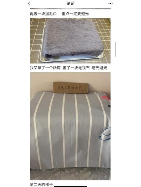 生豆芽怎么发最快_家庭无土生豆芽步骤-第1张图片-山城妙识 生豆芽怎么发最快_家庭无土生豆芽步骤-第1张图片-山城妙识