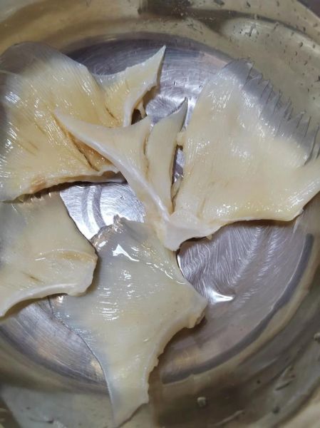 鱼翅的家常做法_鱼翅怎么做好吃又简单-第3张图片-山城妙识