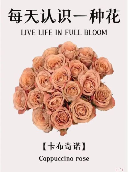 卡布奇诺电影讲了什么_卡布奇诺电影结局什么意思-第3张图片-山城妙识 卡布奇诺电影讲了什么_卡布奇诺电影结局什么意思-第3张图片-山城妙识