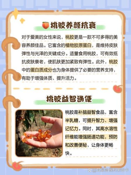 吃桃胶的好处和坏处_桃胶适合什么人吃-第1张图片-山城妙识