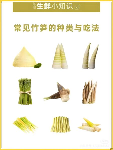 笋有多少种图片_如何快速识别常见竹笋品种-第3张图片-山城妙识 笋有多少种图片_如何快速识别常见竹笋品种-第3张图片-山城妙识