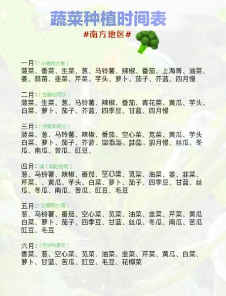 春季蔬菜种植品种有哪些_春季蔬菜什么时候播种-第3张图片-山城妙识