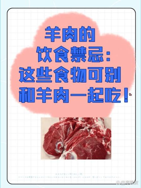 什么人不能吃羊肉_羊肉禁忌人群-第1张图片-山城妙识