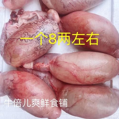 牛膀胱的功效与作用_牛膀胱怎么吃最好-第1张图片-山城妙识