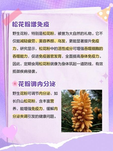 花粉的功效与作用有哪些_花粉主治什么病-第3张图片-山城妙识