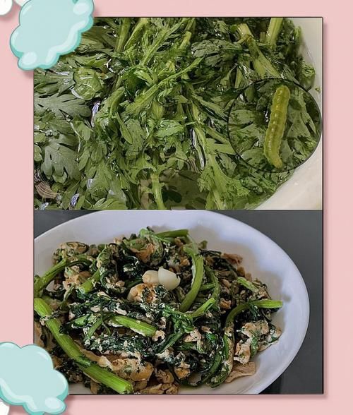 皇帝菜炒鸡蛋怎么做_皇帝菜炒鸡蛋窍门-第1张图片-山城妙识