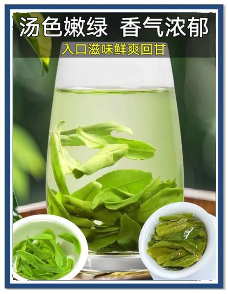 六安瓜片属于什么档次_六安瓜片什么价位-第1张图片-山城妙识 六安瓜片属于什么档次_六安瓜片什么价位-第1张图片-山城妙识