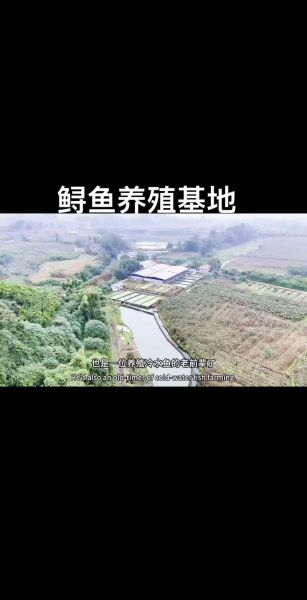 鲟鱼养殖条件_鲟鱼养殖成本是多少-第1张图片-山城妙识