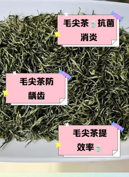 毛尖茶的功效与作用_毛尖茶怎么喝才减肥-第2张图片-山城妙识
