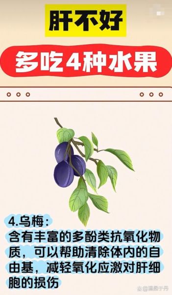 肝病最怕的5种水果是什么_怎么吃护肝效果最好-第3张图片-山城妙识