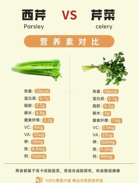 小芹菜和芹菜的区别_哪个营养更高-第2张图片-山城妙识