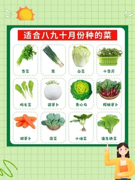 中国蔬菜名称大全_常见蔬菜有哪些-第3张图片-山城妙识