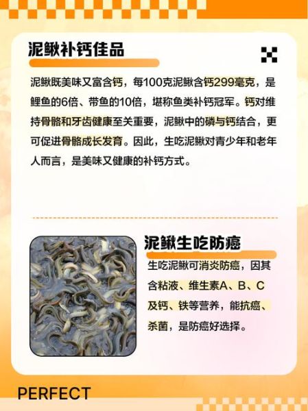 泥鳅吃什么饲料最好_泥鳅饲料配方大全-第2张图片-山城妙识 泥鳅吃什么饲料最好_泥鳅饲料配方大全-第2张图片-山城妙识