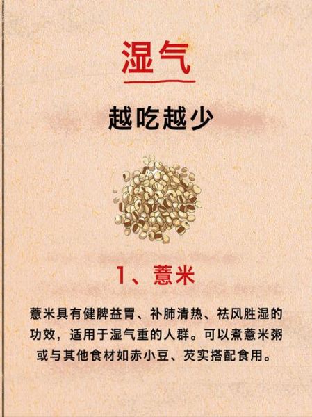 吃什么排湿气最好最快_湿气重吃什么食物-第1张图片-山城妙识 吃什么排湿气最好最快_湿气重吃什么食物-第1张图片-山城妙识