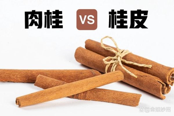 肉桂和桂皮的区别图片_如何一眼分辨-第2张图片-山城妙识 肉桂和桂皮的区别图片_如何一眼分辨-第2张图片-山城妙识