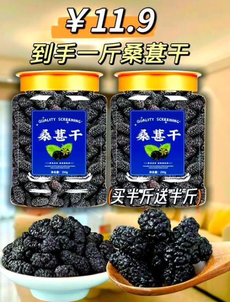 桑葚干怎么吃最好_桑葚干一天吃多少粒-第3张图片-山城妙识