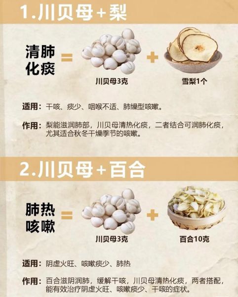 川贝可以直接泡水喝吗_川贝泡水正确方法-第2张图片-山城妙识 川贝可以直接泡水喝吗_川贝泡水正确方法-第2张图片-山城妙识