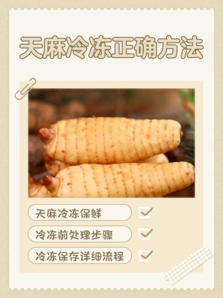 天麻的正确吃法和用量_天麻一天吃多少克-第2张图片-山城妙识 天麻的正确吃法和用量_天麻一天吃多少克-第2张图片-山城妙识