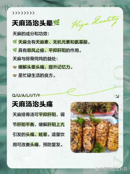 新鲜天麻炖排骨怎么做_天麻炖排骨的功效与禁忌-第1张图片-山城妙识