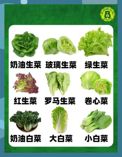 蔬菜类有哪些名称_蔬菜名称大全及分类-第2张图片-山城妙识