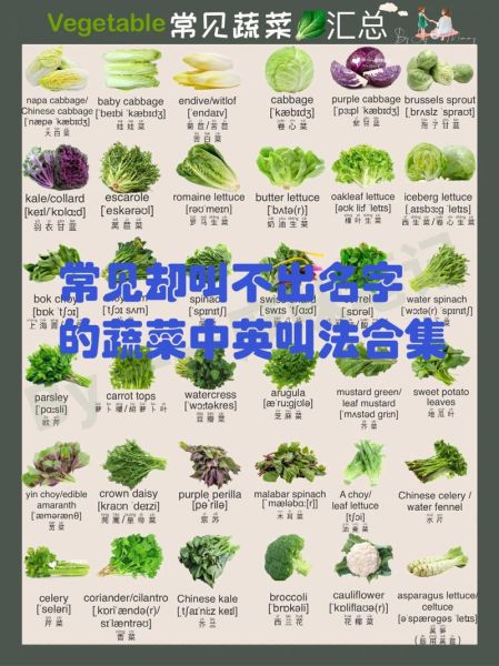 蔬菜类有哪些名称_蔬菜名称大全及分类-第3张图片-山城妙识