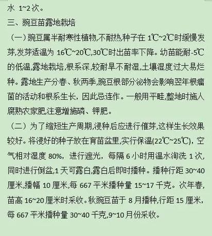 豌豆芽怎么种_豌豆芽种植方法-第1张图片-山城妙识