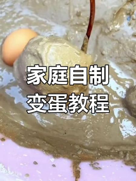 变蛋怎么做出来的_家庭自制变蛋步骤-第2张图片-山城妙识