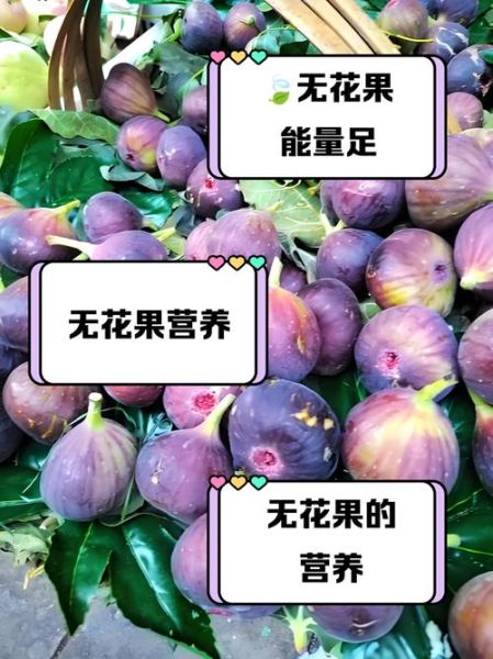无花果一天吃多少最好_吃多了有什么副作用-第1张图片-山城妙识