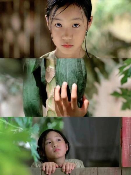 青木瓜之味免费全版在哪看_青木瓜之味剧情解析-第1张图片-山城妙识